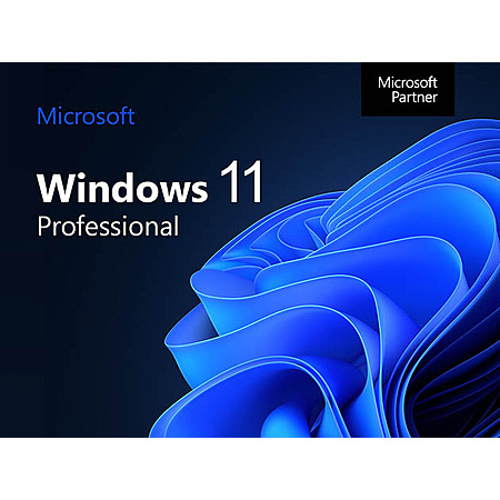 All-in-One Microsoft Office Pro 2019 for Windows: Lifetime License ...