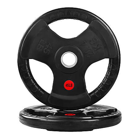 2x 45-lb Signature Fitness 2" Olympic Cast Iron Weight Plates - 2026-03-17