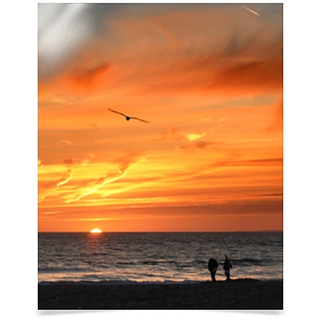 CVS Photo: 16" x 20" Metallic Poster Print - 2025-08-23