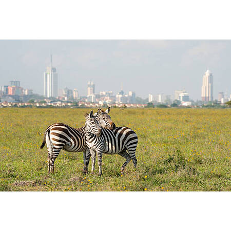 RT Washington DC to Nairobi Kenya $888 Airfares on 5* Qatar Airways ...
