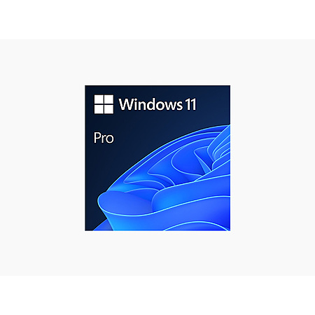 Windows 11 Pro ($35.98) and Windows 11 Home ($27.48) after 15% coupon ...