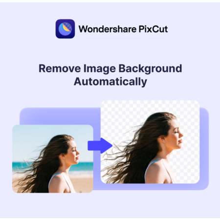 $1 Online image background remover-Wondershare PixCut
