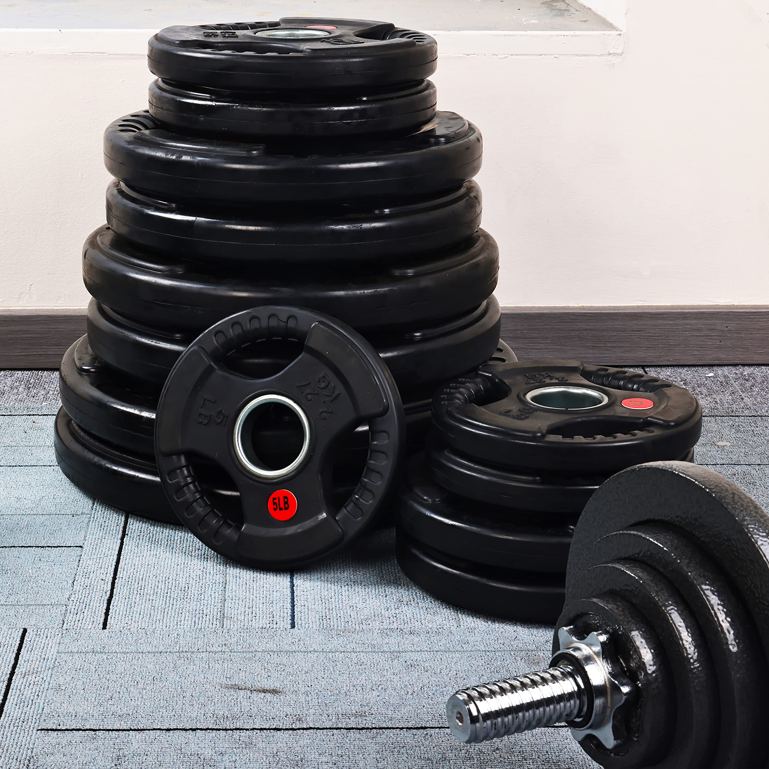 Olympic Cast Iron 45-Pound Set Plate for Strength Training and ...
