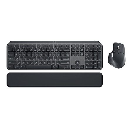Logitech MX Keys Combo for Business (MX Master 3, MX Keys, Palm Rest ...