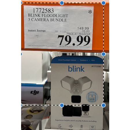 Costco Blink Flood Camera bundle Item 1772583 $80 - YMMV - 2024-02-22