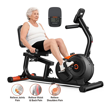 HASIMAN Recumbent Exercise Bike Magnetic Stationary Cycling Bicycle ...