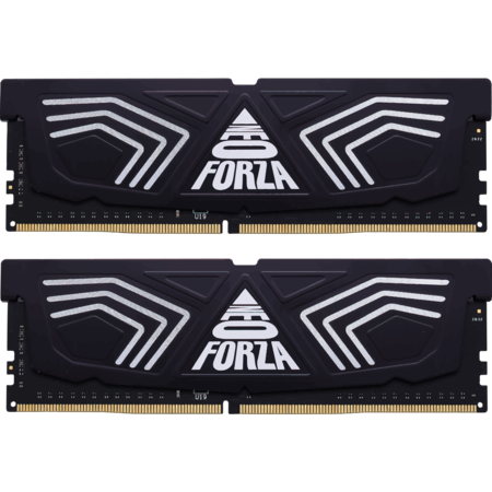 32GB (2x 16) NEO Forza FAYE DDR4 3000 Desktop RAM kit $80
