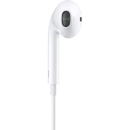 Apple EarPods Wired Ear Buds w/ Built-in Remote (USB-C or Lightning ...