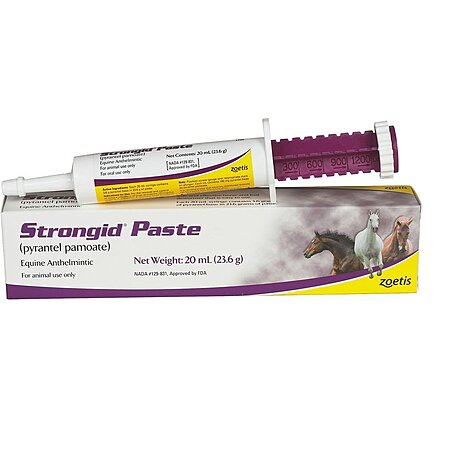 Strongid Paste Horse Dewormer, Safe for use in breeding, Pregnant and ...