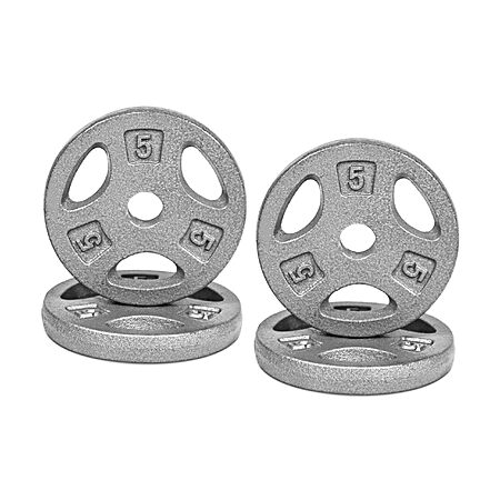 4-Piece CAP Barbell Standard 1-Inch Grip Weight Plates (5 lbs Gray) $13 ...