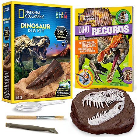 NATIONAL GEOGRAPHIC Dino Fossil Dig Kit & Dinosaur Book for Kids ...