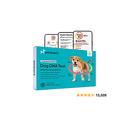 Embark Dog DNA Test Kit | Breed & Genetic Ancestry Discovery | Trait ...