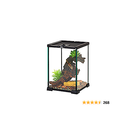 REPTIZOO Mini Reptile Glass Terrarium Tank 8" x 8" x 12" Full View ...