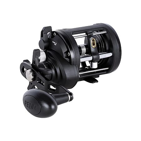 PENN Rival II Level Wind Conventional Fishing Reel (Size 30 - Line ...