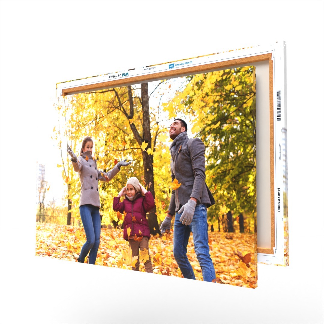 24" x 36" Custom Canvas Prints (Unframed) $25 & More + Free Shipping
