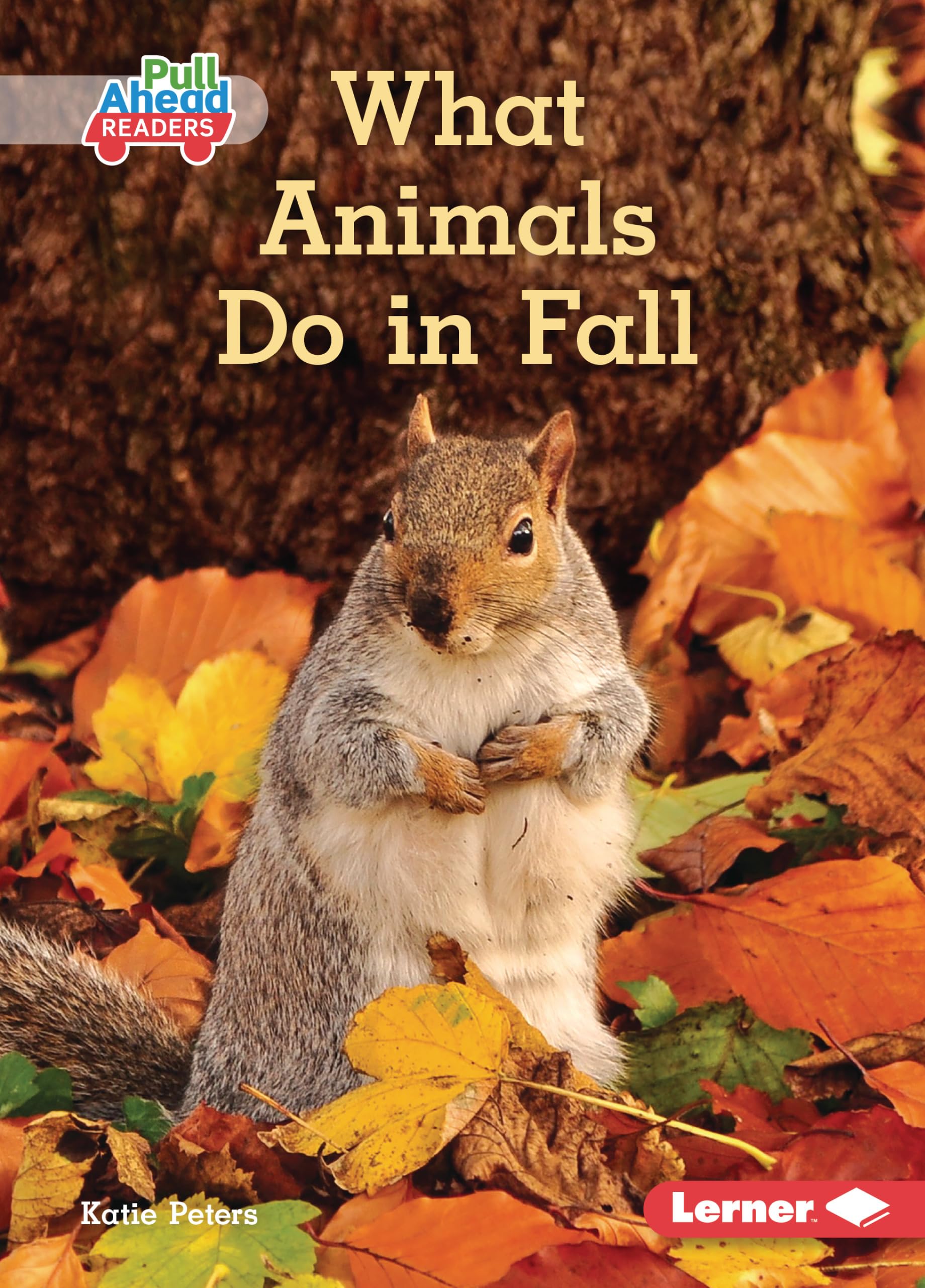 What Animals Do in Fall Nonfiction Kids' Book $1.76 + Free Shipping w ...