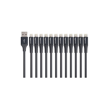 (12 PACK) AmazonBasics 4-Inch Lightning to USB-C Charging Cable - $9.99 ...