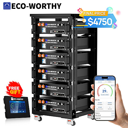6-Pack ECO-WORTHY 48V 100Ah LiFePO4 Batteries + Battery Monitor ...