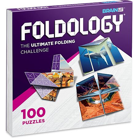 100 Brain-Teasing Paper Folding Foldology Origami Puzzle Game $9.99 ...