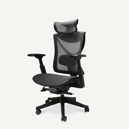 FlexiSpot Ergonomic Office Chair (A5) w/ 5-Level Adjustable Backrest ...
