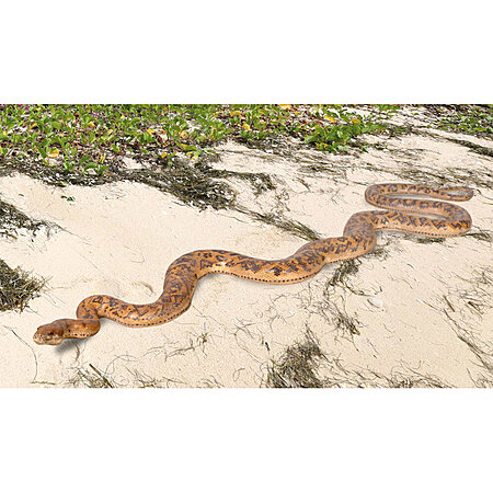 Realistic Python Sculpture Display weather-resistant indoor or outdoor ...