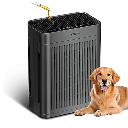 50% off, Newest Model, TER Air Air Purifier Large Room, with Double ...