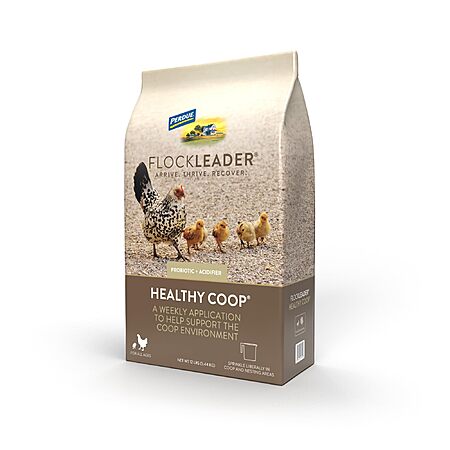 12lbs. FlockLeader Healthy Coop, Litter Additive for Chicken Coop with ...