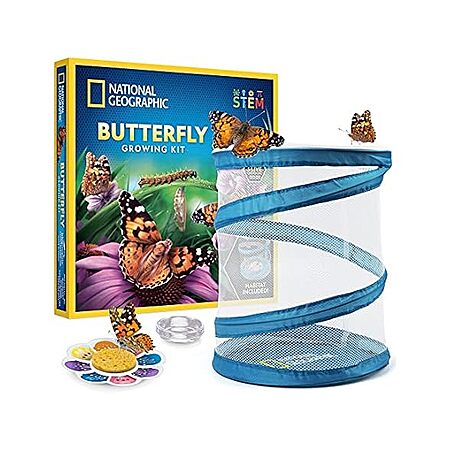 National Geographic Butterfly Growing Kit: Butterfly Habitat Kit with ...