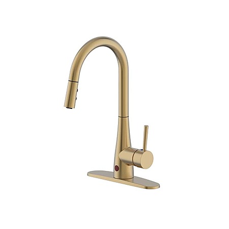 Home Depot - Runfine Kitchen Faucet Clearance — Hands‑Free Matte Gold ...