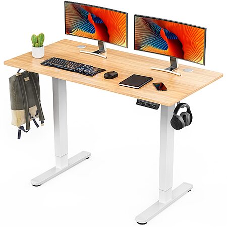 Sweetcrispy Electric Standing Desk,48 x 24in Adjustable Height Electric ...