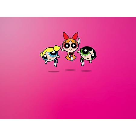 The Powerpuff Girls (Classic) - $15