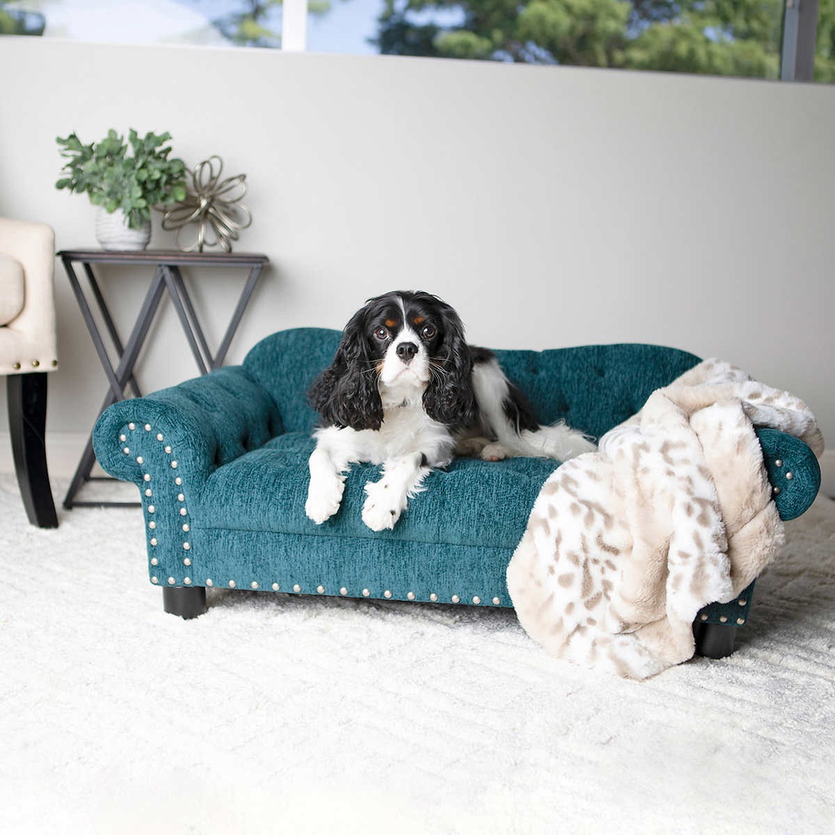 La-Z-Boy Costco Windsor Dog Sofa & Throw | Costco $99.97