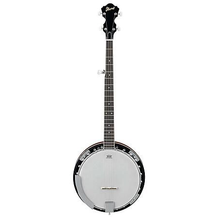 Ibanez B50 5-String Banjo w/ Mahogany Neck & Rosewood Fretboard, Ivory ...